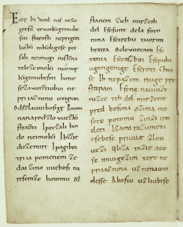 Dejstva o slovenskem jeziku